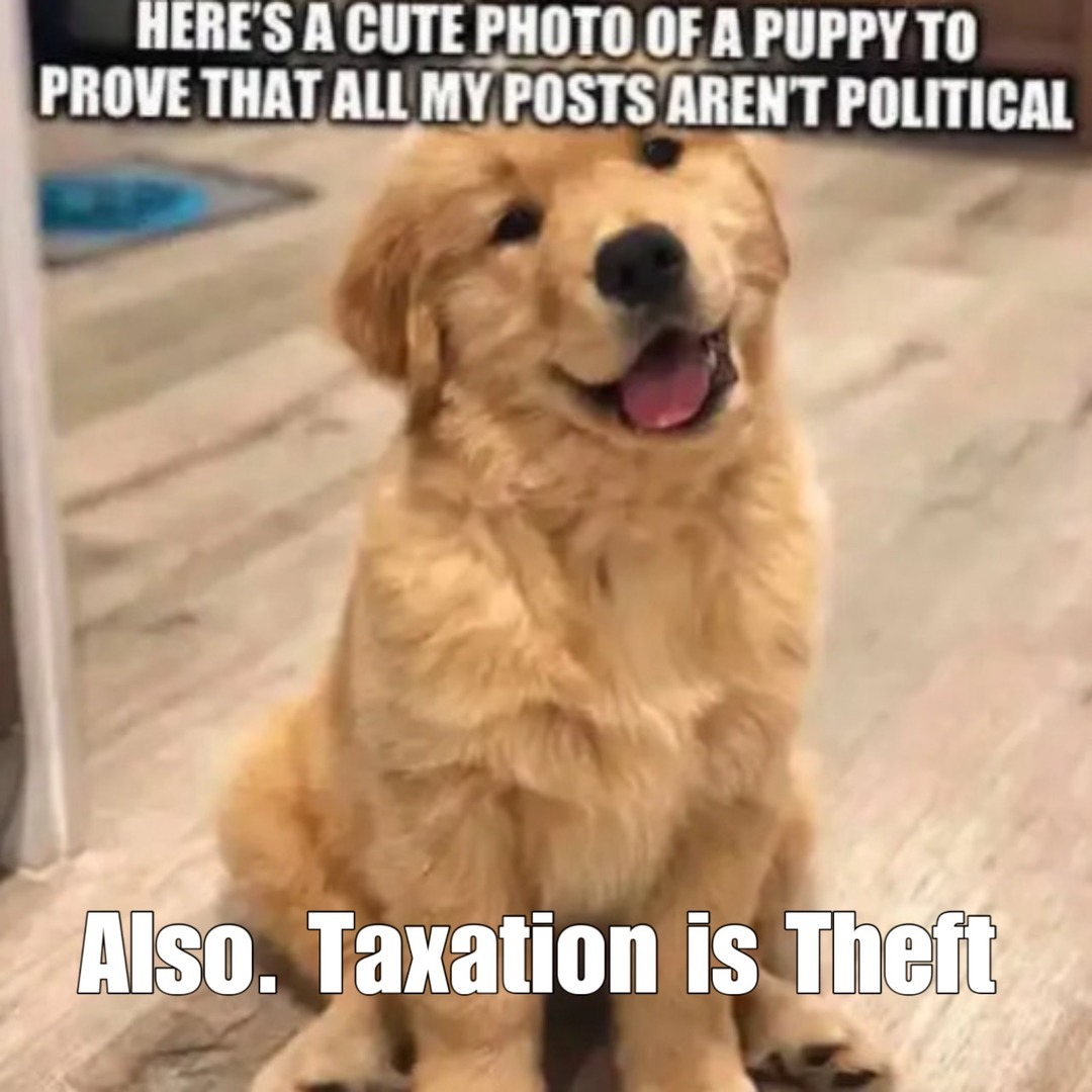 InfoBattleMaiden :) Memedroid