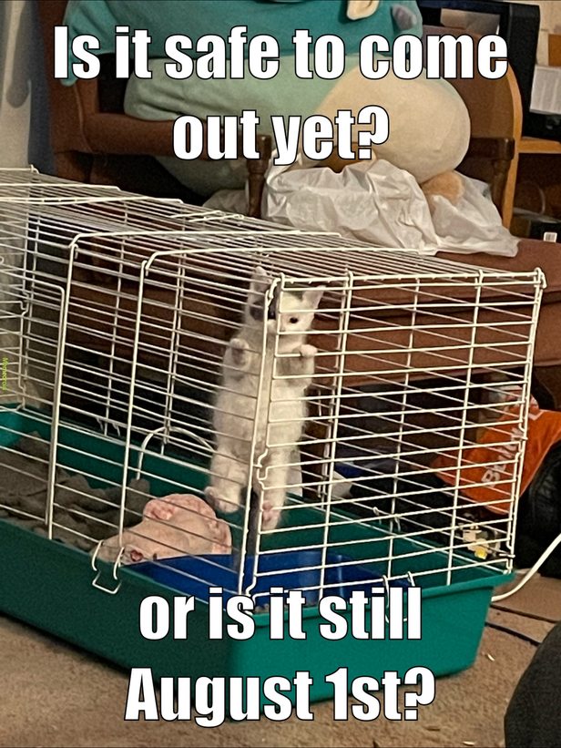 1st - Meme by Blknight72 :) Memedroid