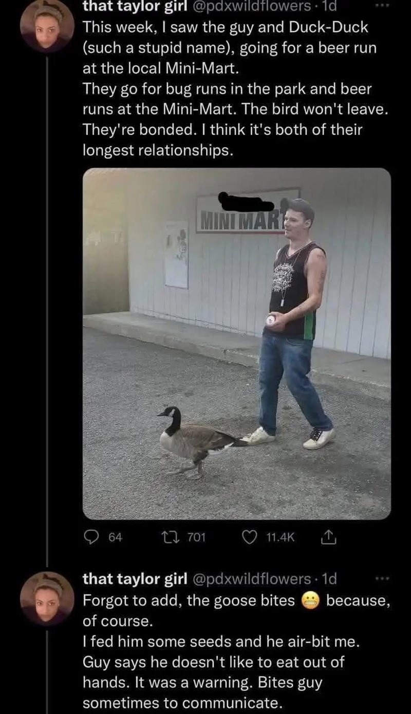 The best Goose memes :) Memedroid