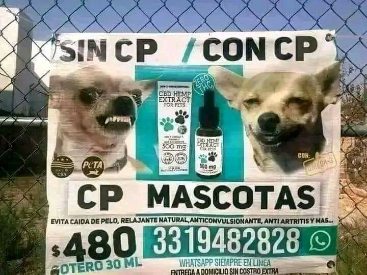 Top memes de Nixolas en español :) Memedroid