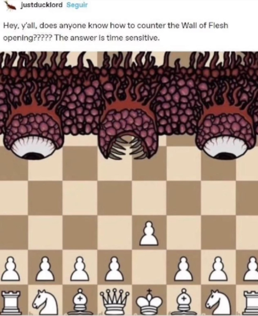 The best Chess memes :) Memedroid