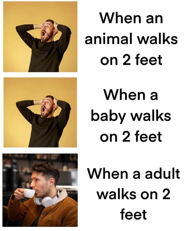 The best Evolution memes :) Memedroid