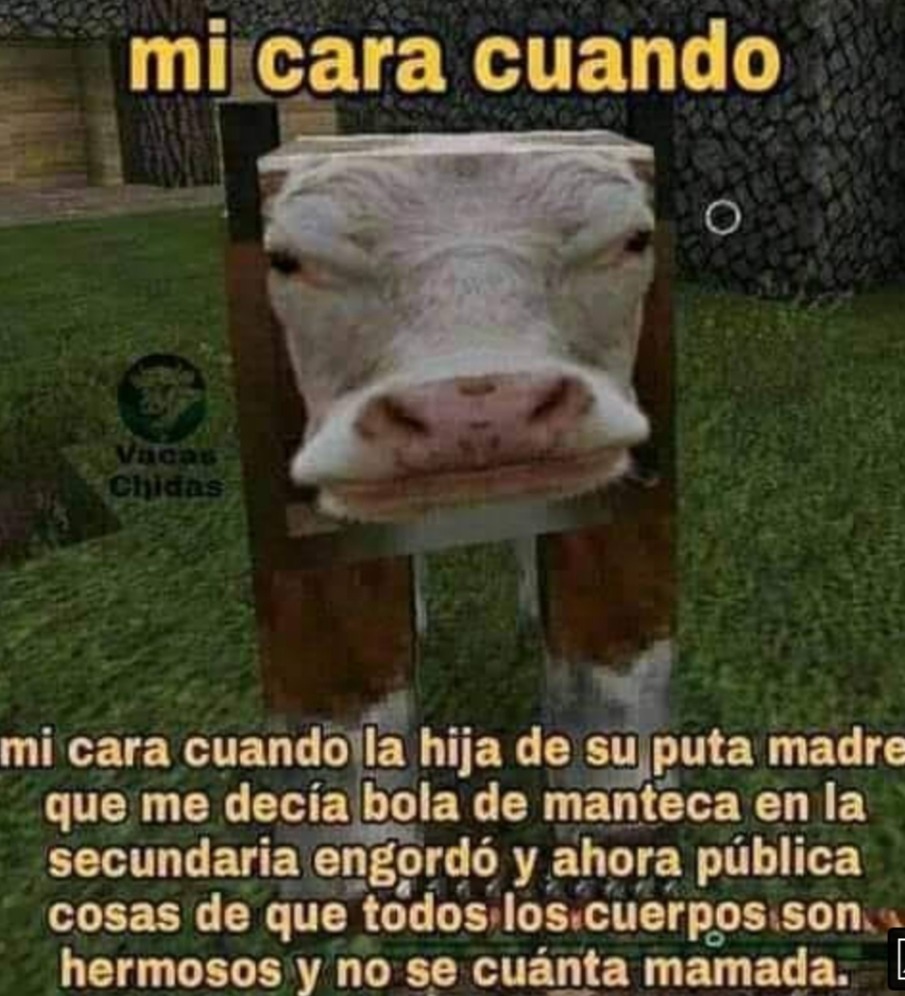 Minecraft rtx - Meme subido por Dipro_5 :) Memedroid