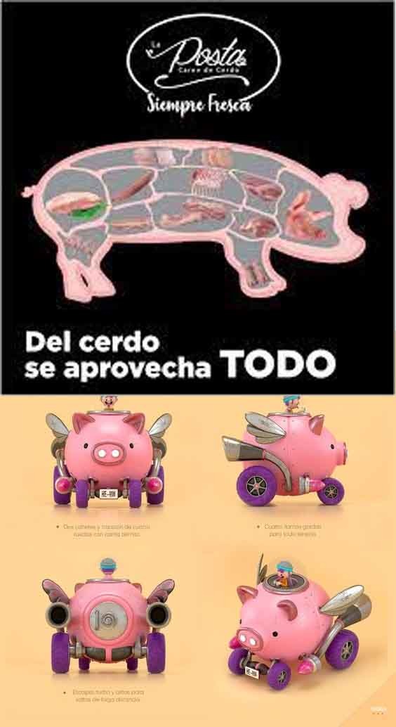 Memes Cerdito Tocino