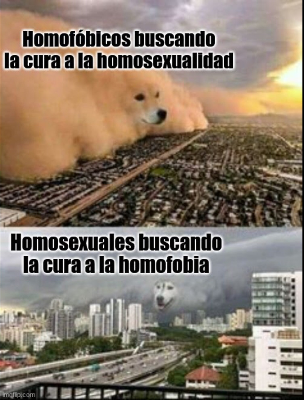 Finjan que da risa - Meme subido por Divaruta :) Memedroid