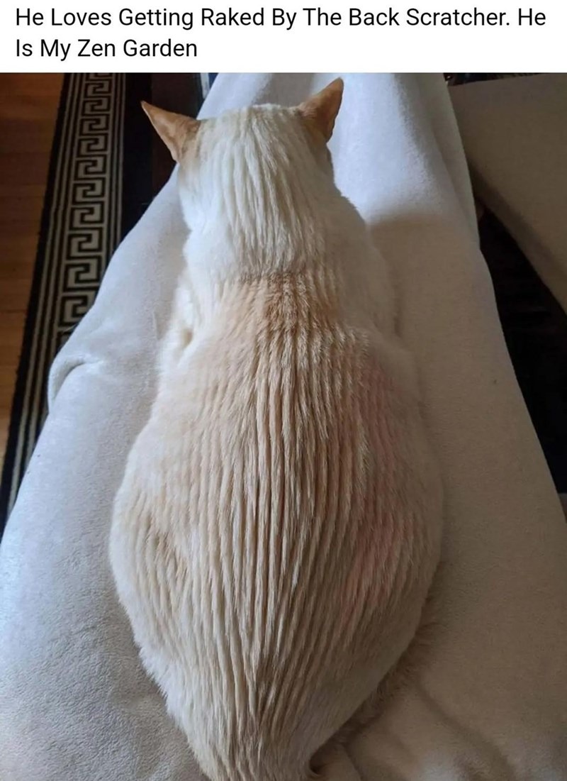 Latest memes / New memes :) Memedroid