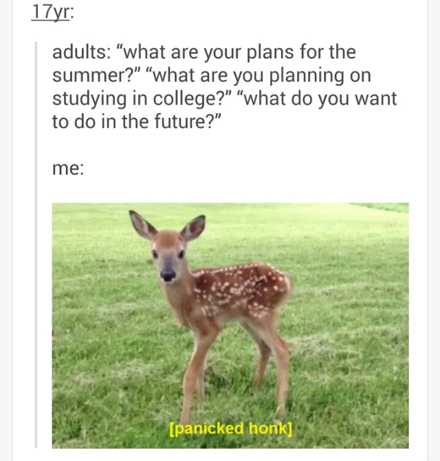 Hopefully this isn't you! - Meme by MrTonio :) Memedroid