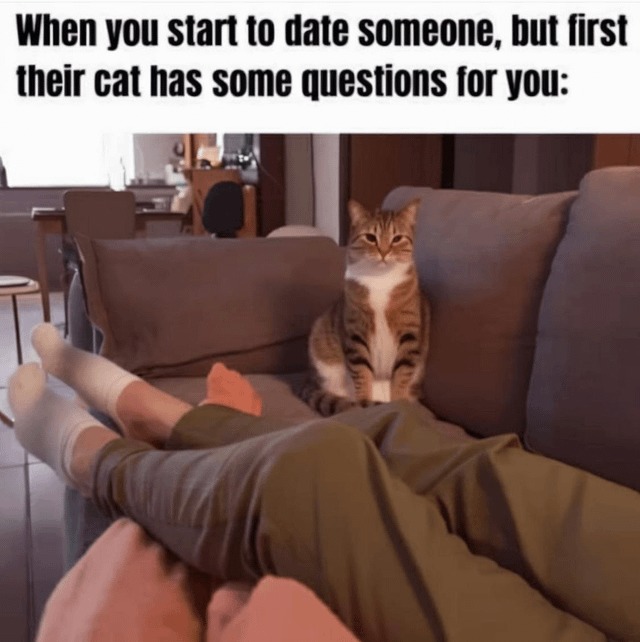 The best Dating memes :) Memedroid