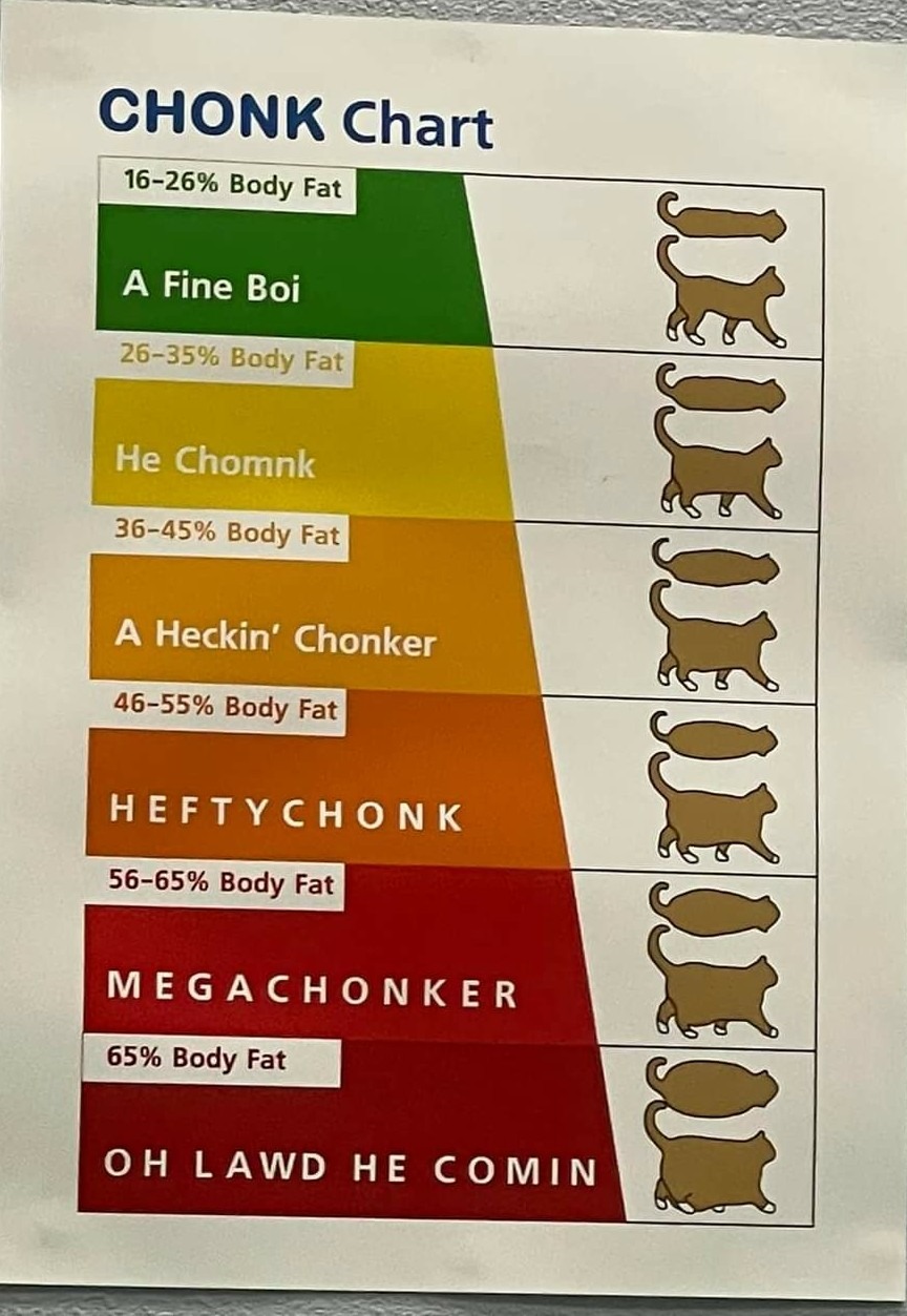 Oh lawd - Meme by audilover23 :) Memedroid