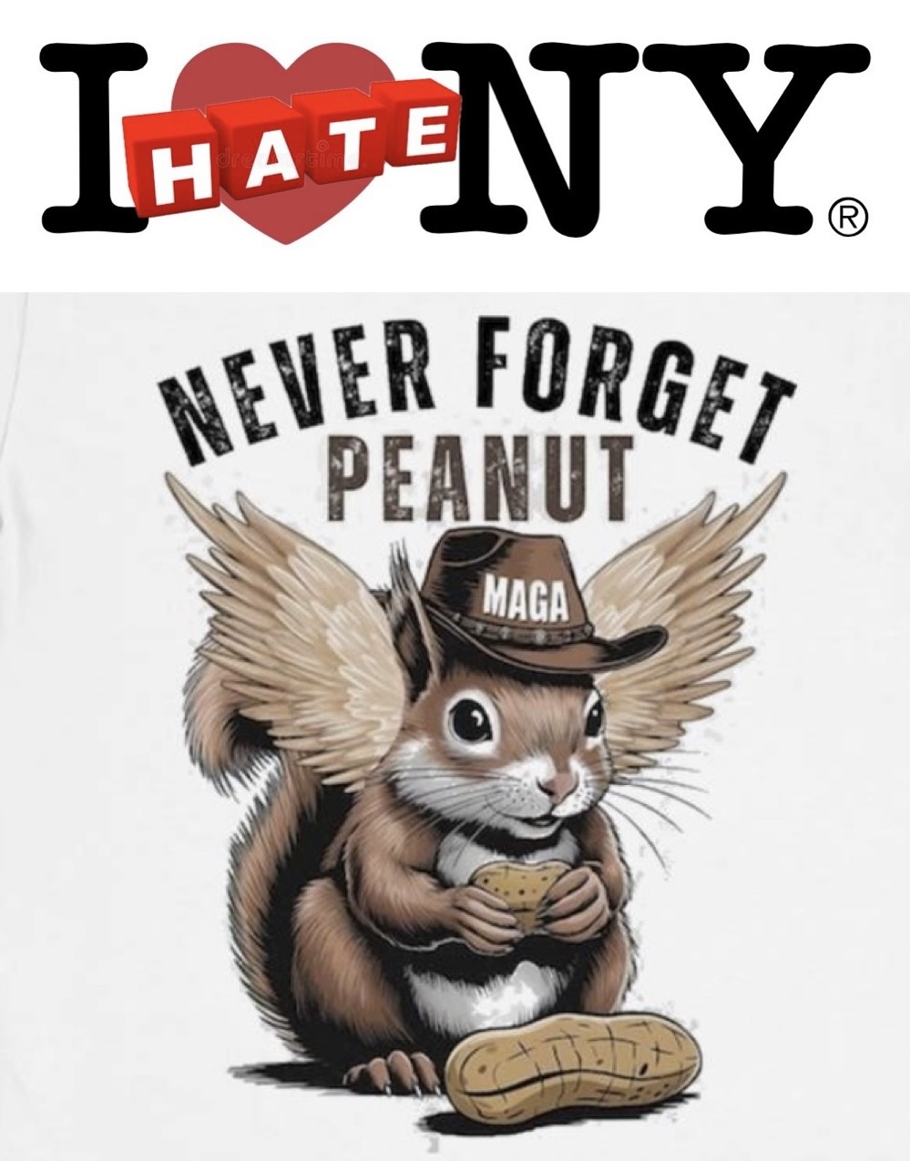 The Latest Memes :) Memedroid