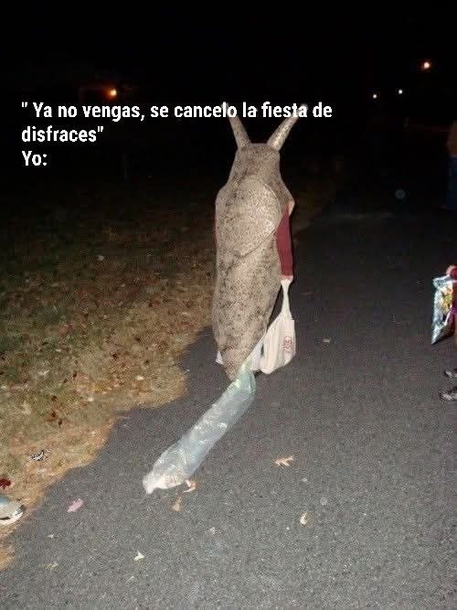 Los memes más graciosos de disfraces :) Memedroid