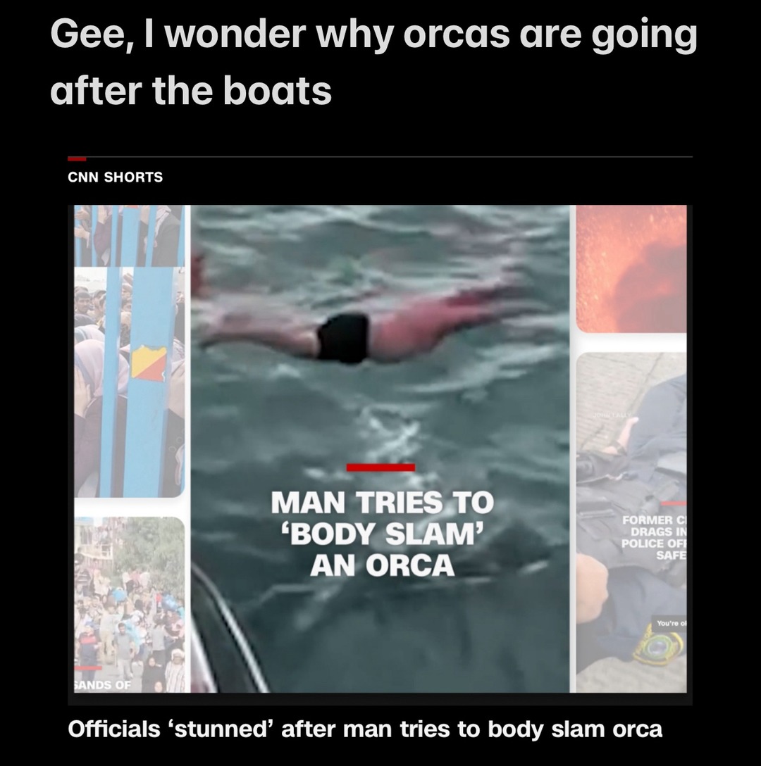 Latest memes / New memes :) Memedroid