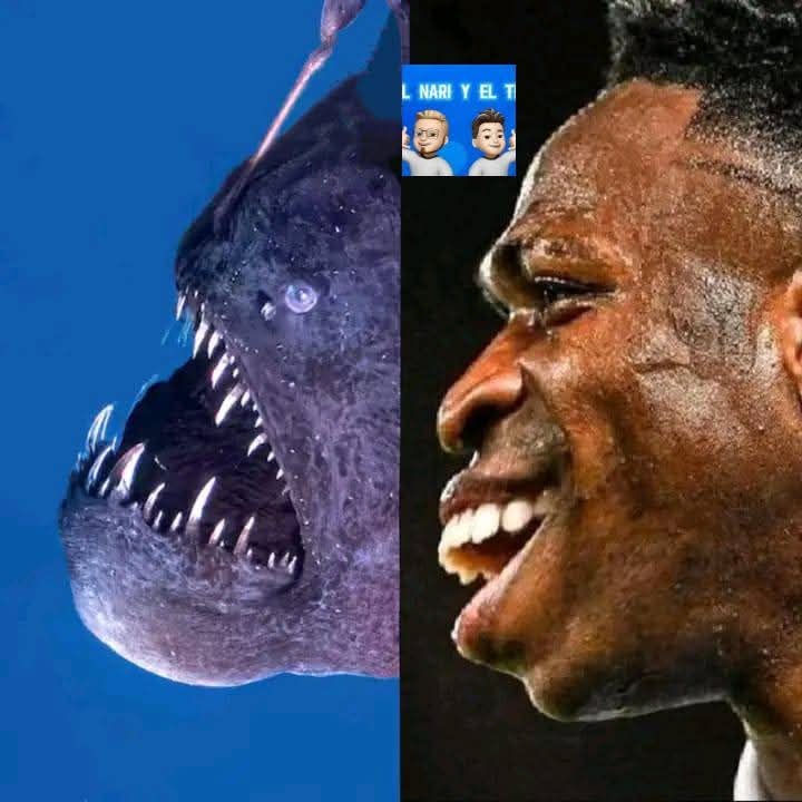 Los Últimos Memes :) Memedroid