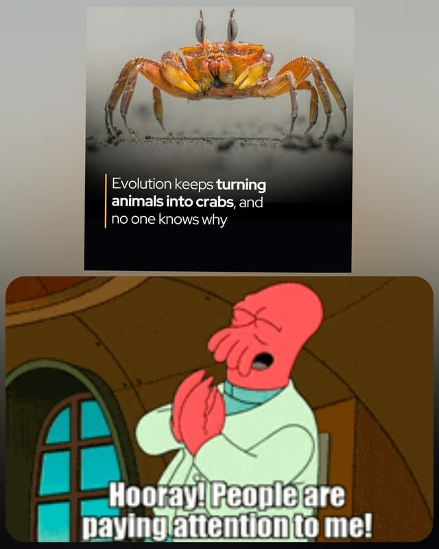 The best Evolution memes :) Memedroid