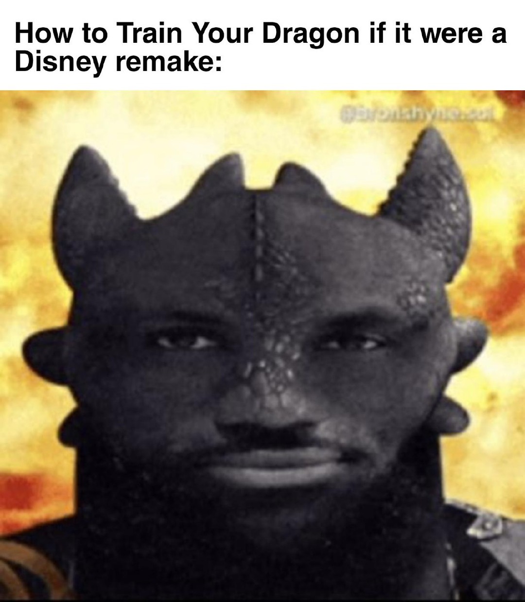 The best Dragon memes :) Memedroid