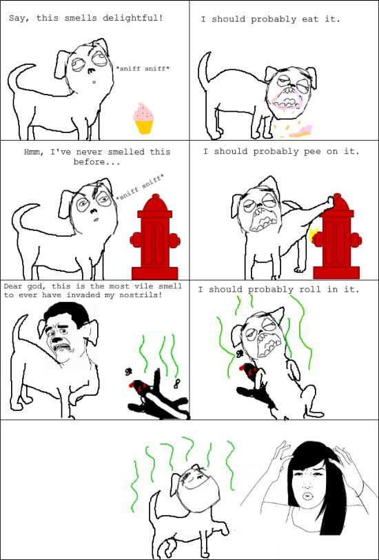 dog logic - Meme by pman :) Memedroid