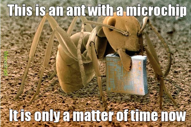 Future! FUTURE! - Meme by MrFadedGlory :) Memedroid