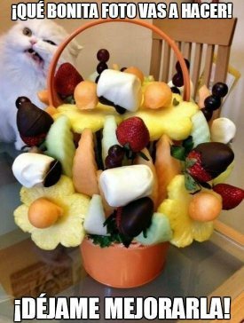 Como la mejora - Meme subido por ribellesteve :) Memedroid