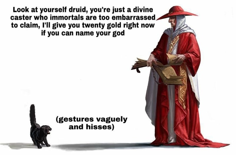 Maybe it really is just a cat and the druid is laughing - Meme subido ...