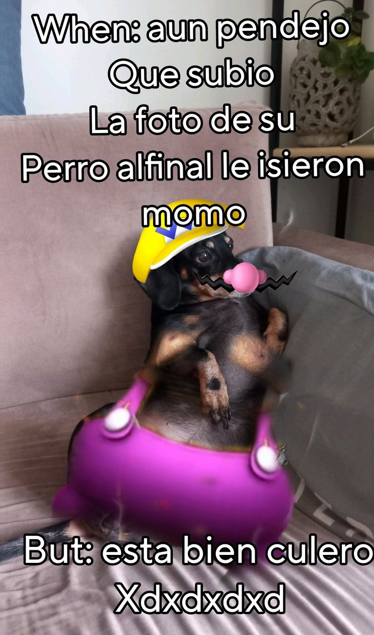 Últimos memes :) Memedroid