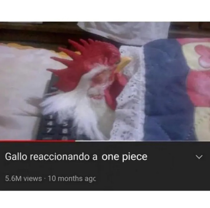 Top memes de Pollo en español :) Memedroid