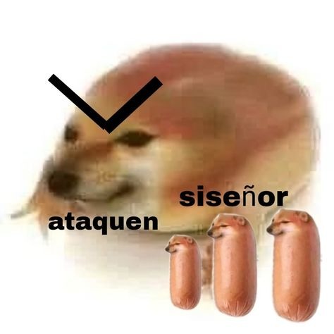 Los mejores memes de Cheems en Español :) Memedroid