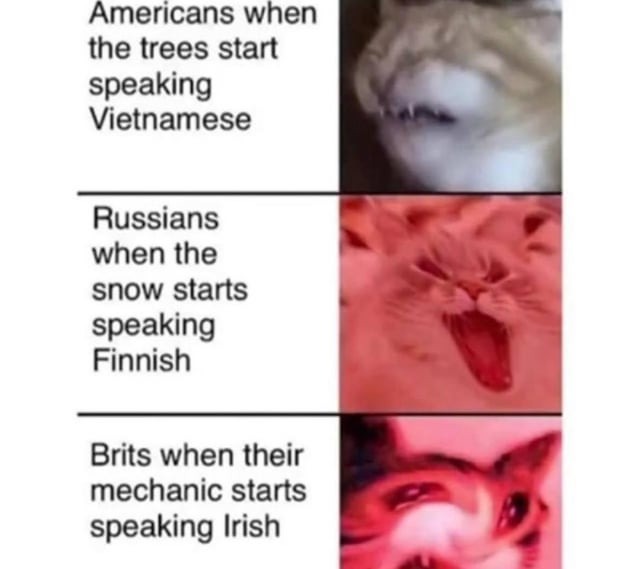 Funny Dark Memes - The best selection - Memedroid