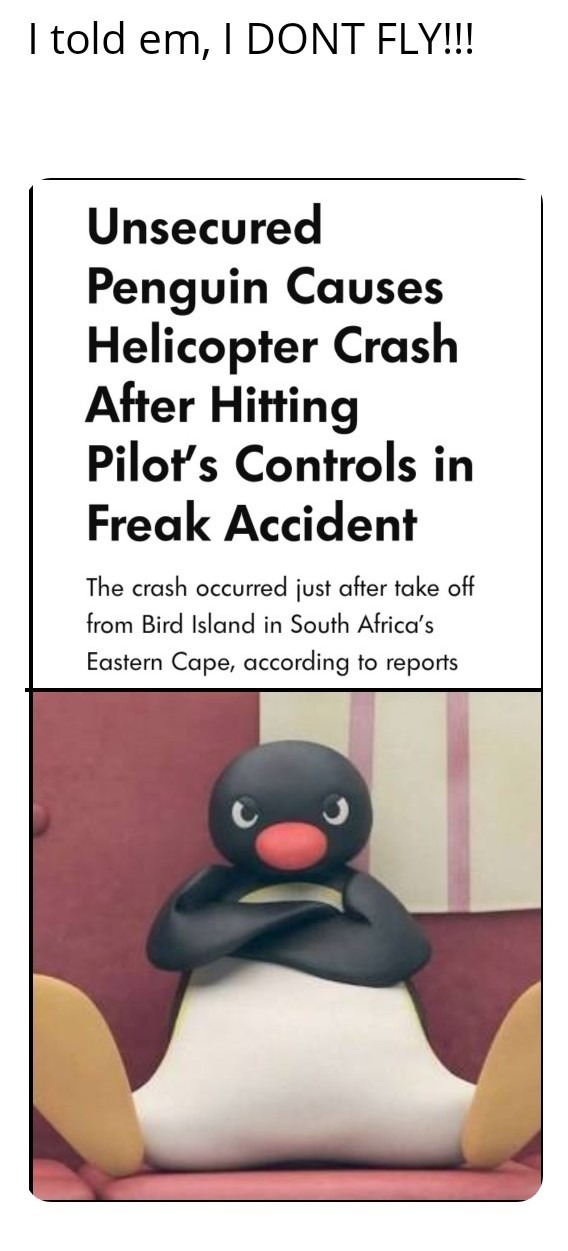 The best Penguin memes :) Memedroid