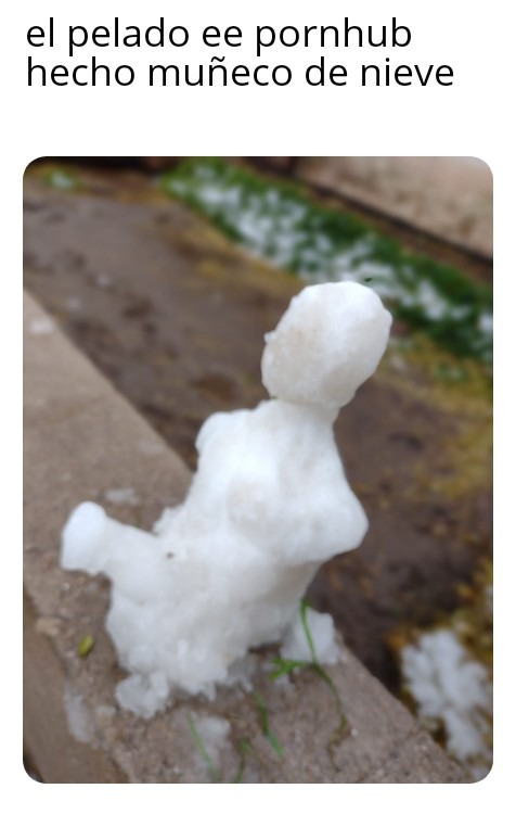 Tulaneitor - Meme subido por Cerberus456 :) Memedroid