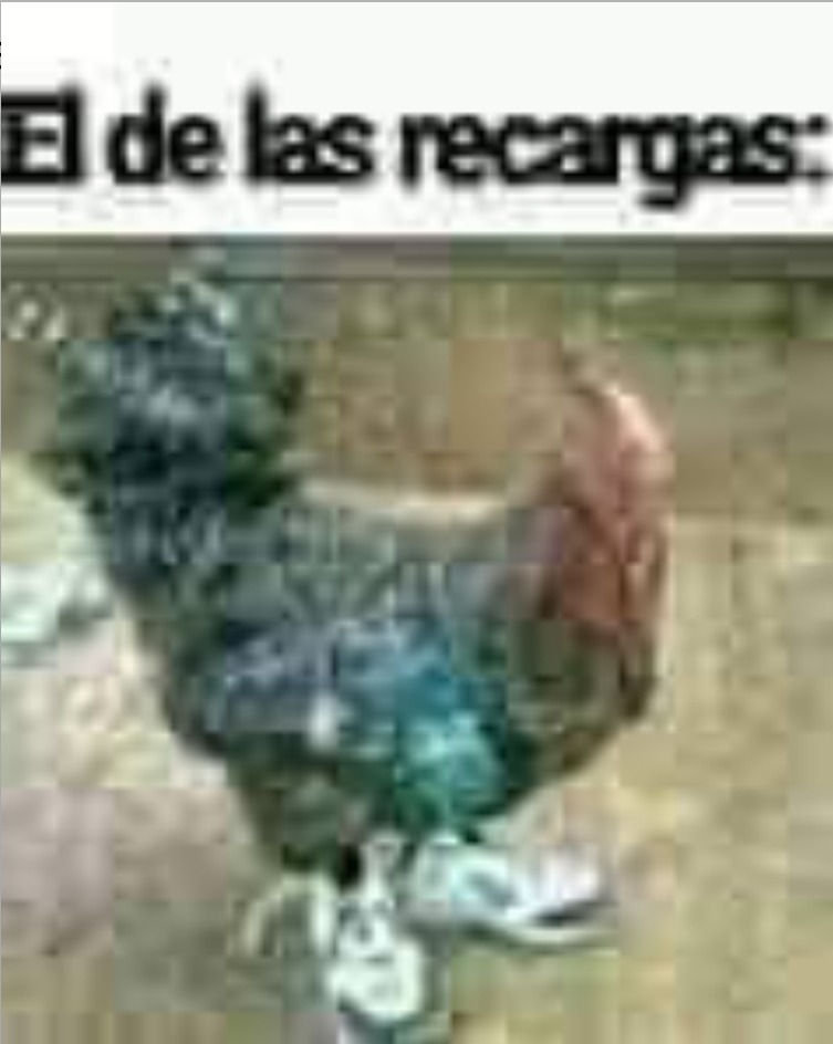 Gallo - Meme subido por Xx_Epicmemes2007_xX :) Memedroid