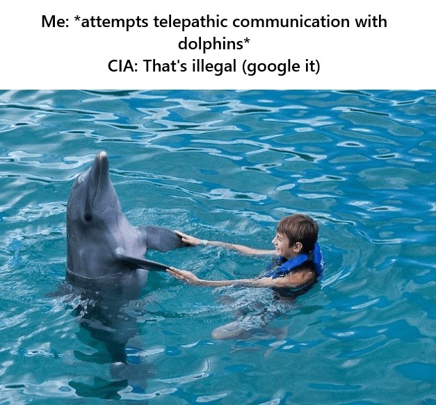 The best CIA memes :) Memedroid