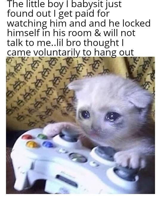The best Betrayal memes :) Memedroid