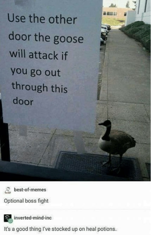 Optional meme - Meme by AlphaGearBoy :) Memedroid