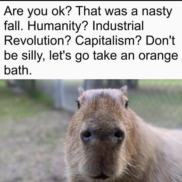 capy supremacy - Meme by Mcdoggo :) Memedroid