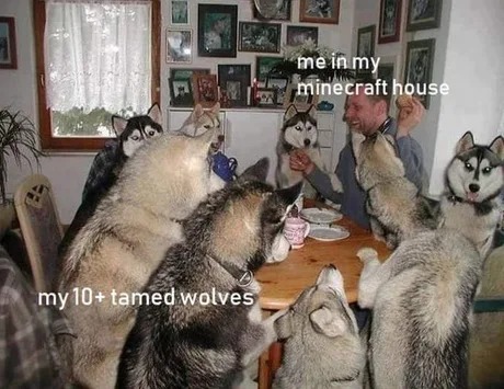 Minecraft wolves meme - Meme subido por KARGETER :) Memedroid