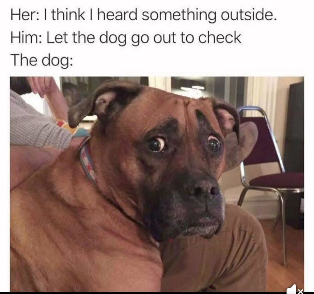 The best Protection memes :) Memedroid