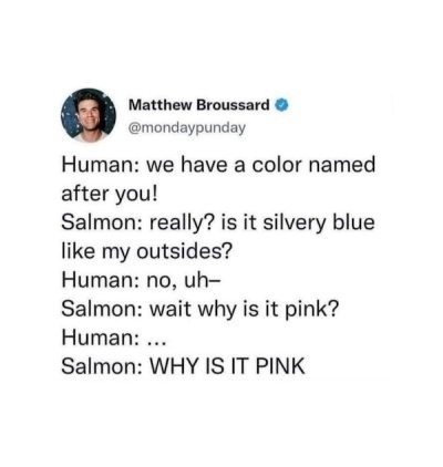 Memes De Salmon