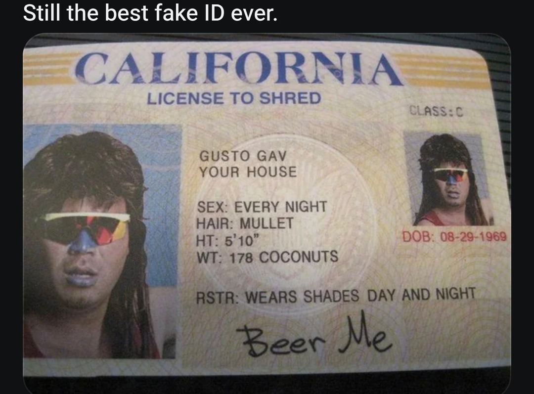 The best Mullet memes :) Memedroid