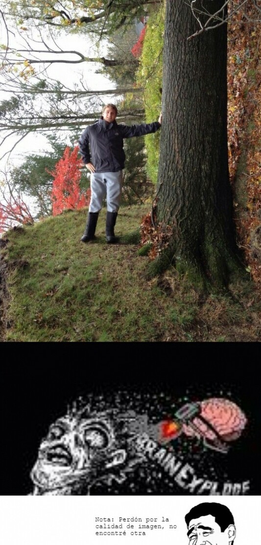 Me acaba de explotar la cabeza al ver esto - Meme subido por Pepe19 ...