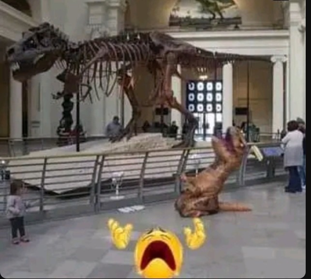 nooo - Meme subido por Benyual :) Memedroid