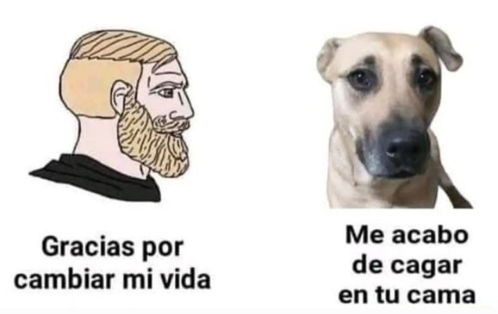 Mojon - Meme subido por Sans2142 :) Memedroid