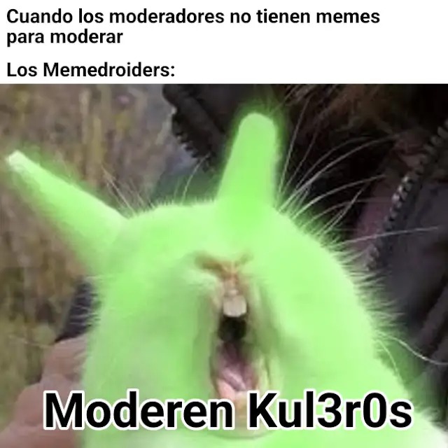 Memedroid - Resultados de búsqueda :) Memedroid