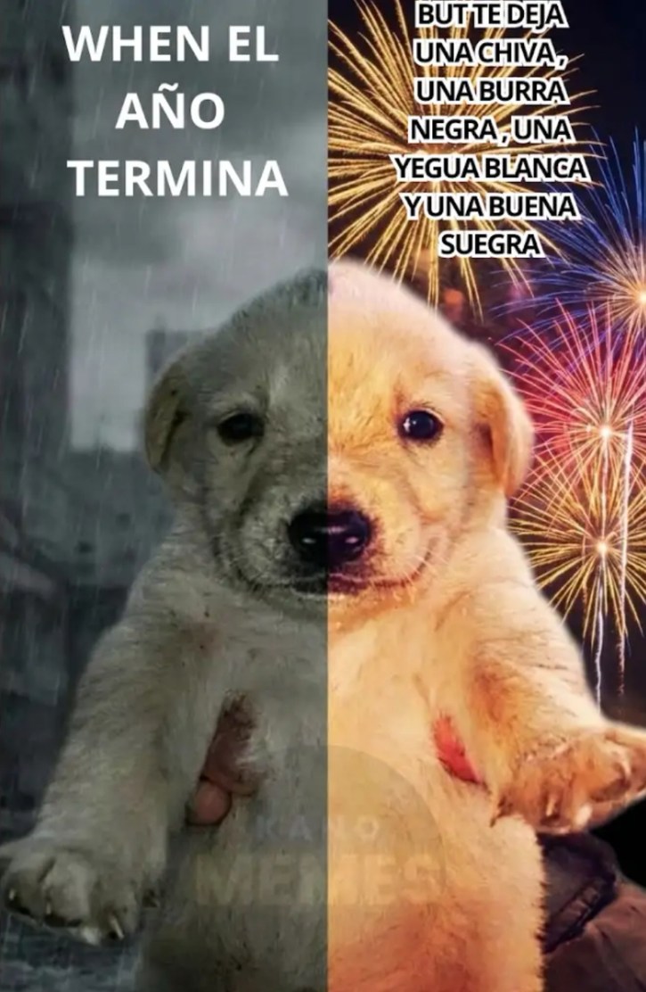 Top memes de 2026 Sorprendeme en español :) Memedroid