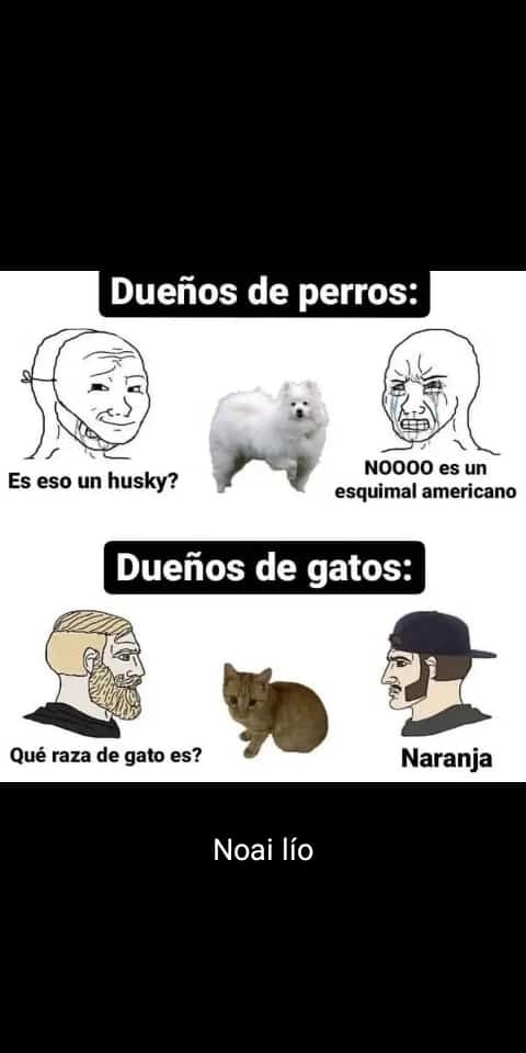 Jsjsjs - Meme subido por Its_Chris_vp :) Memedroid