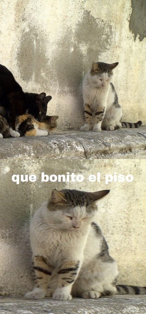 El meme se fue a colgar - Meme subido por Painelitis :) Memedroid