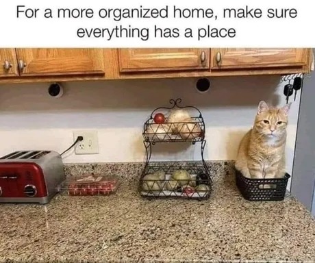 The best Organization memes :) Memedroid