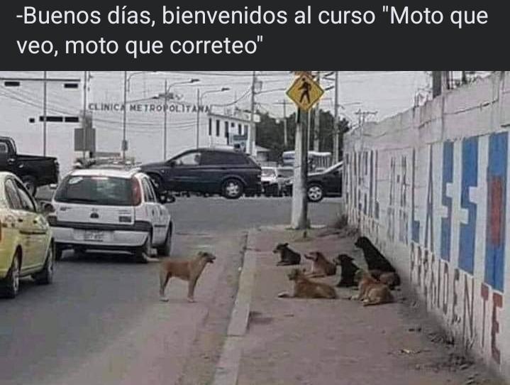 Y auto estacionado auto meado - Meme subido por Cark :) Memedroid