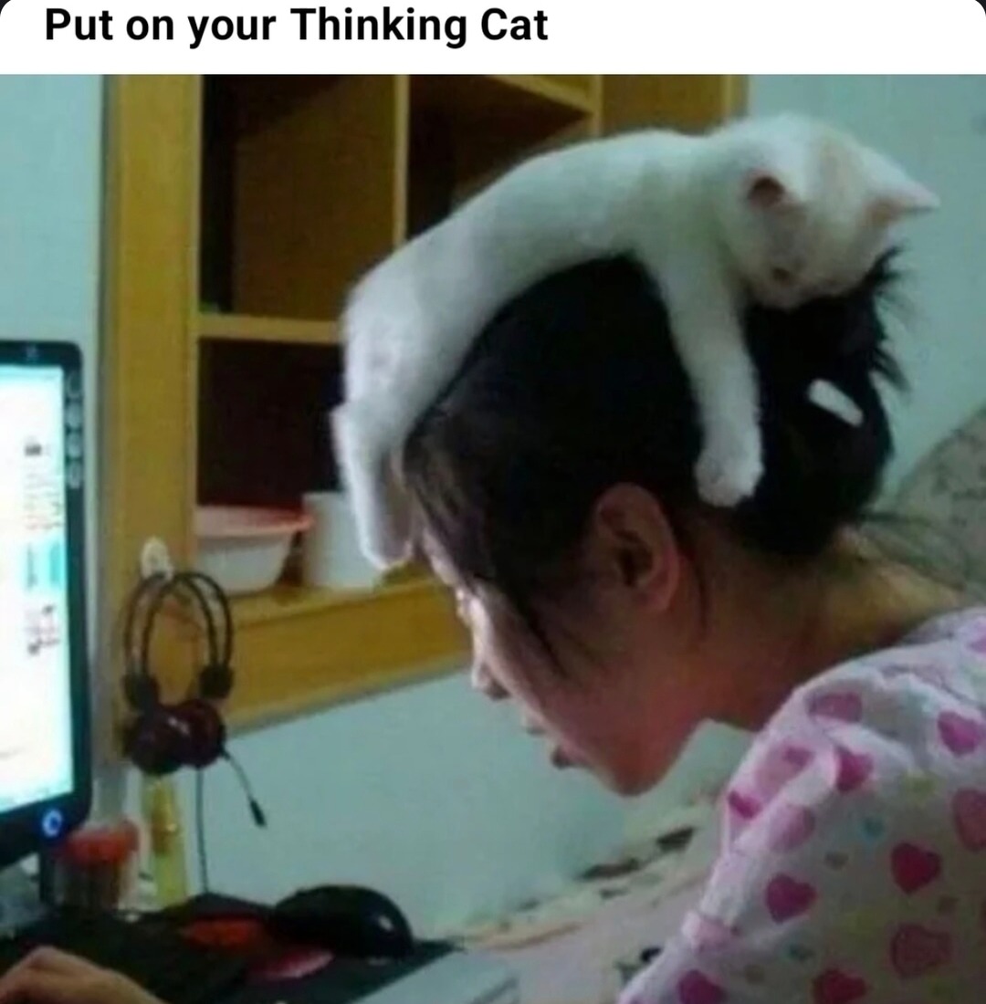 The Best Thinking Memes :) Memedroid