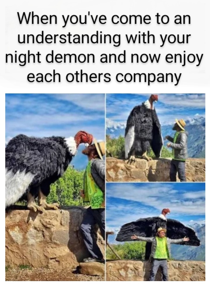 When you are dead, all bets are off - Meme subido por EstebanVasquez ...