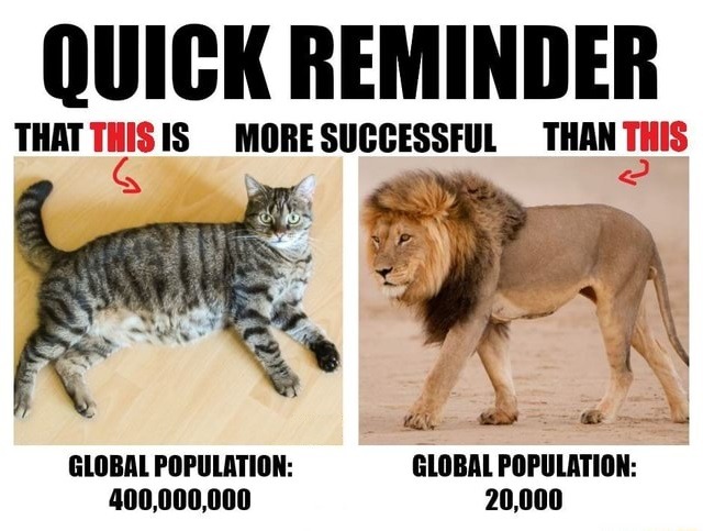 Quick reminder - Meme by schizoidman :) Memedroid